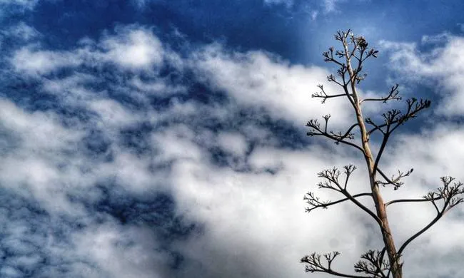 Rain returns to Cyprus: When to expect a drop in temperature ...