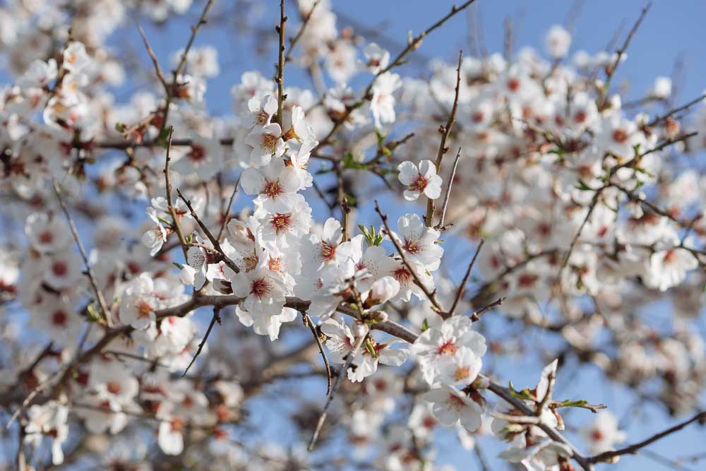 Sharp weather shift as Cyprus braces for hot, dry months ahead ...