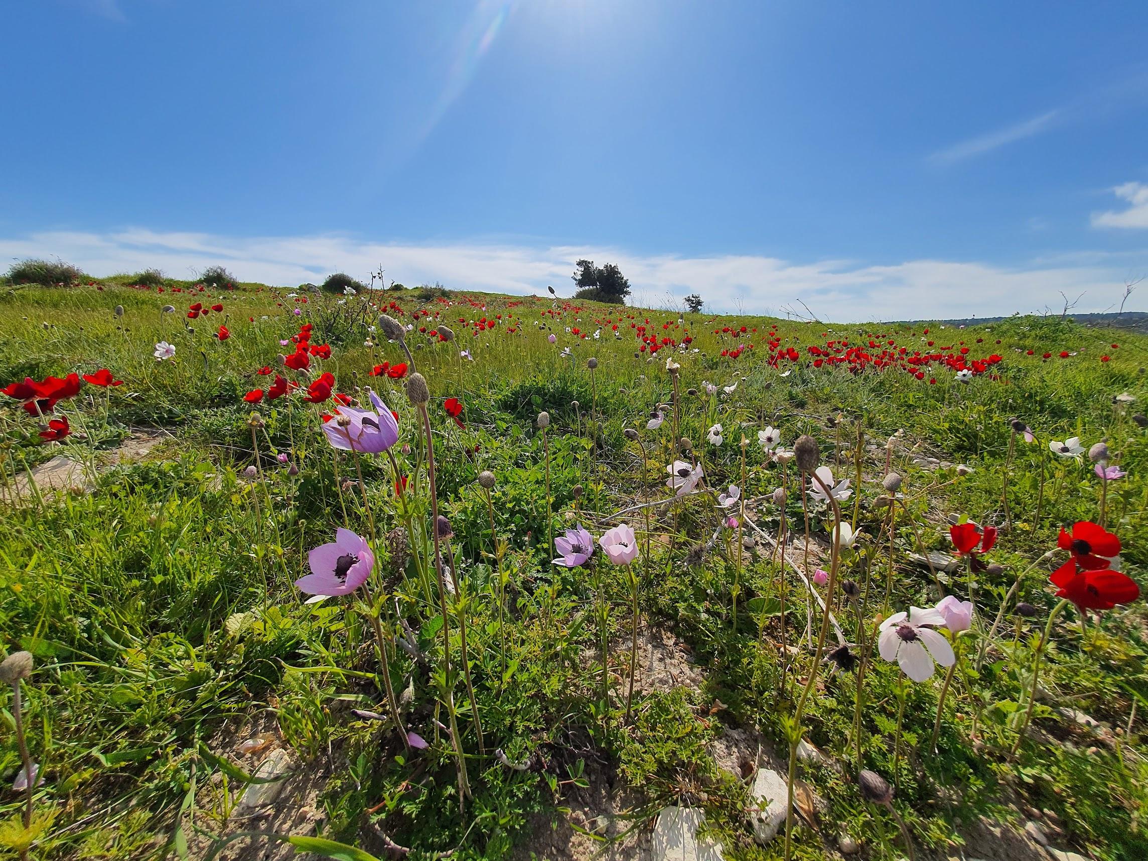 Weather forecast for Cyprus: scattered rain, rising heat - Sigmalive ...