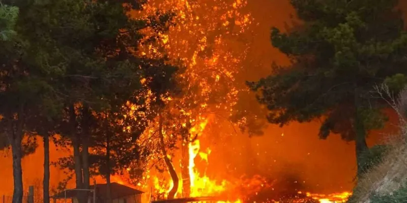 UPDATE: Tragedy...2 persons found dead in the wildfire area in Limassol ...