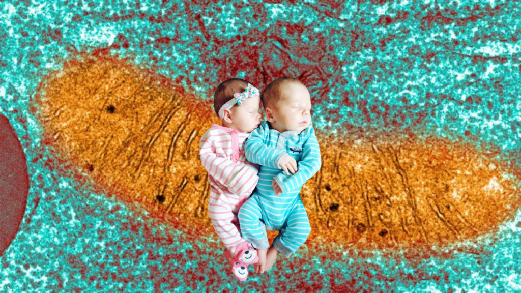 Babies made using 3 people's DNA, born free of hereditary disease - Sigmalive English