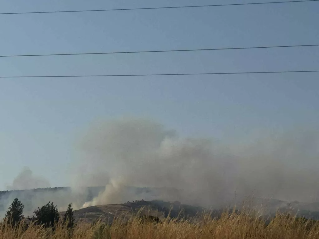 Paphos fire scorched 1.5 square kilometres of land - Sigmalive English