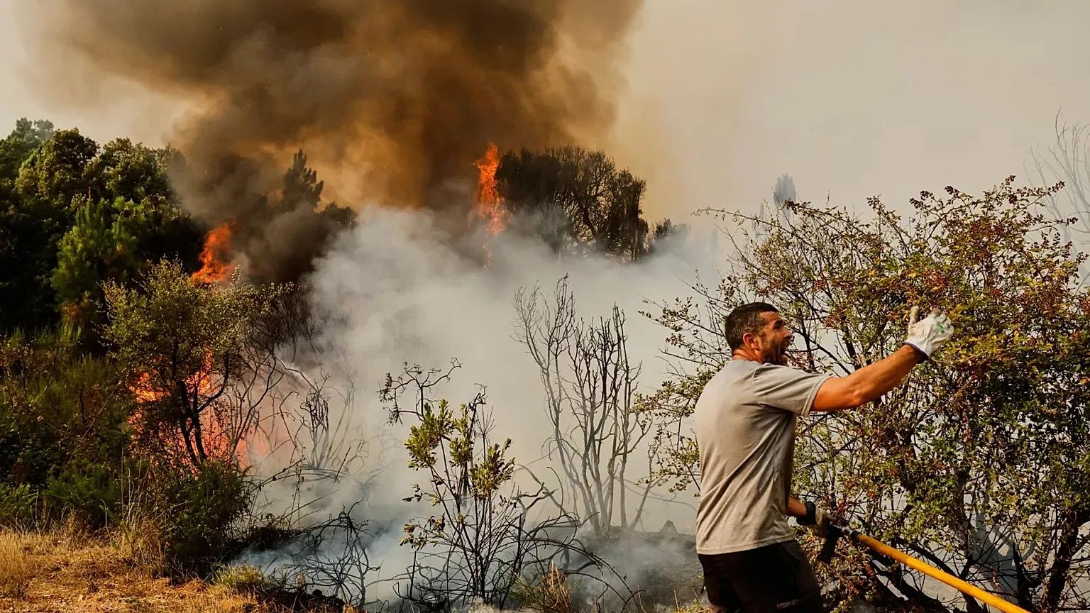 Study: fires likely due to climate change in Turkey, Cyprus and Greece ...