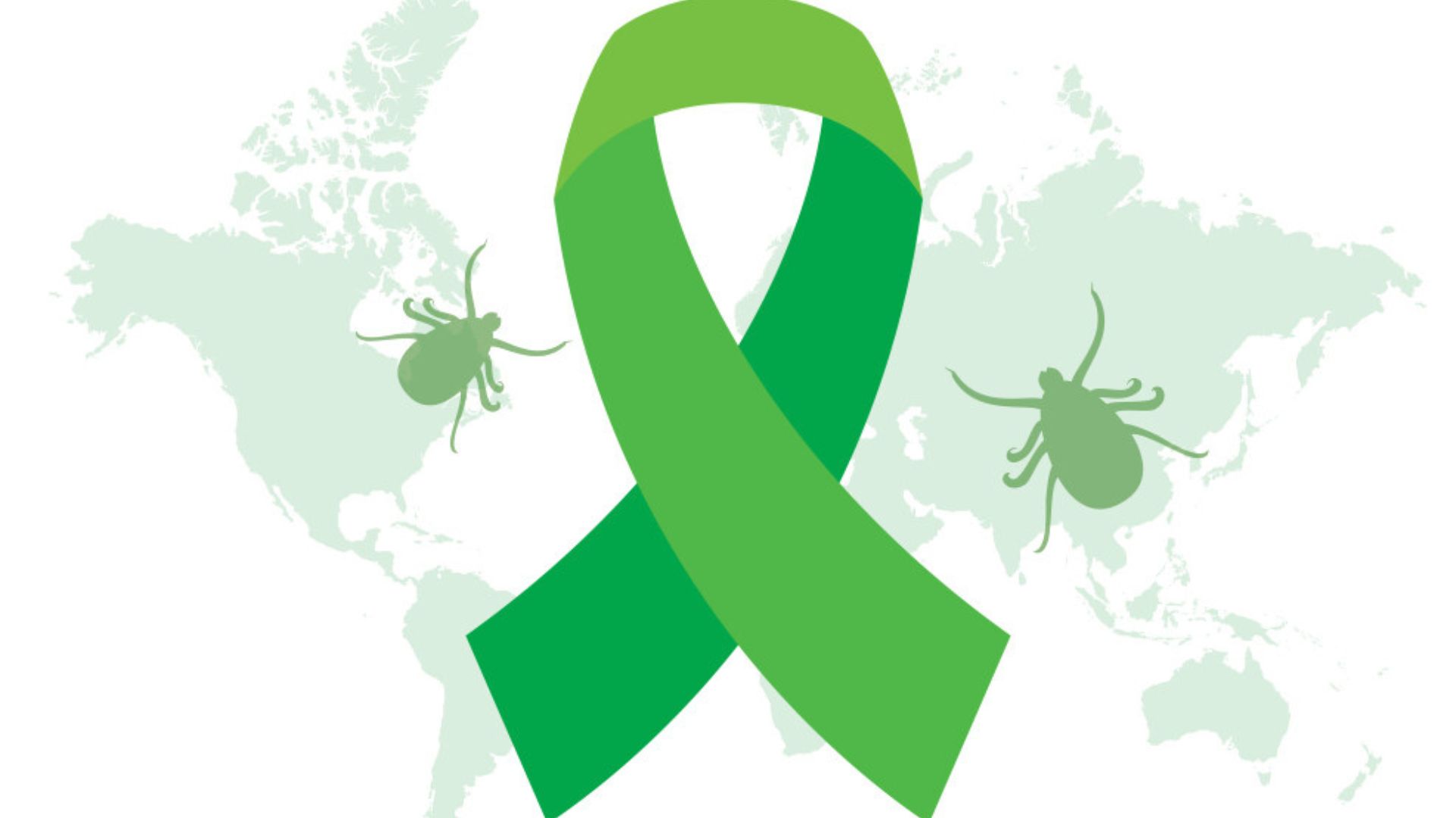 Lyme disease is becoming more common: How to spot symptoms - Sigmalive ...