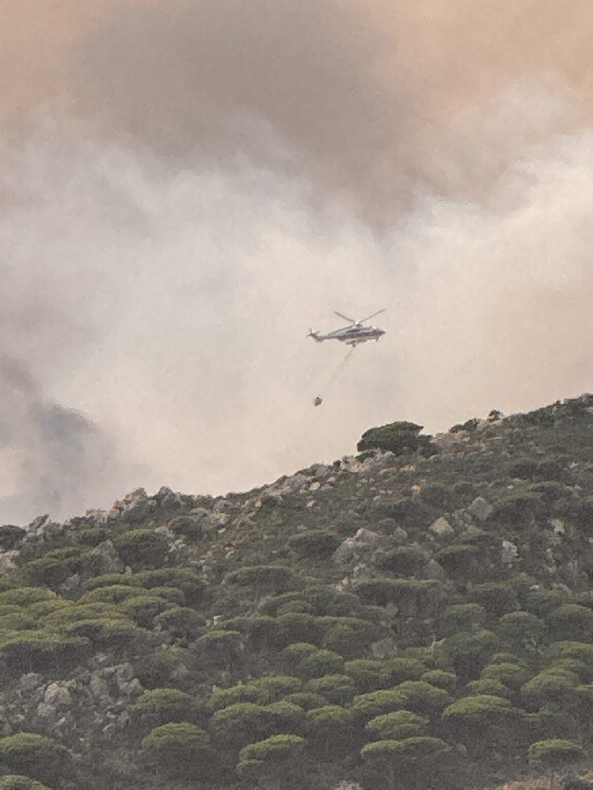 Spain wildfire: Tourists and locals evacuated near beach resort ...