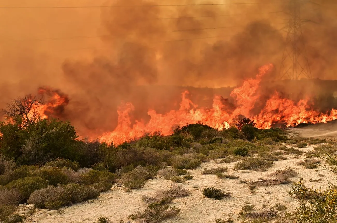 Third wildfire in Paphos within hours under control - Sigmalive English