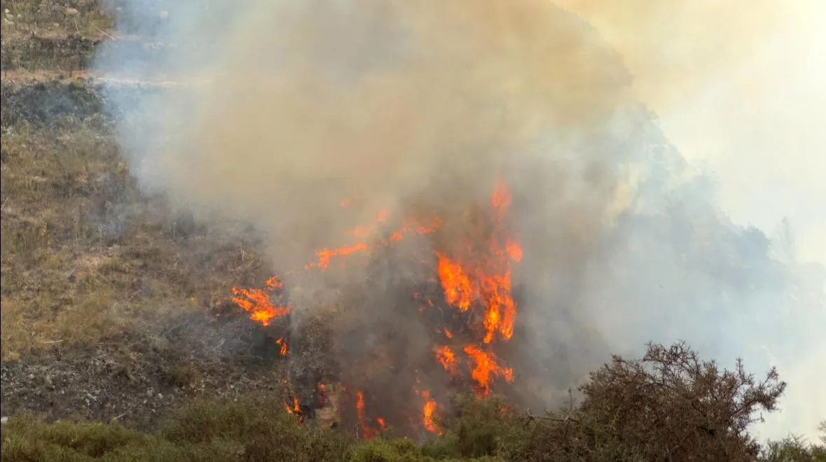 Major Paphos wildfire gradually brought under control - Sigmalive English