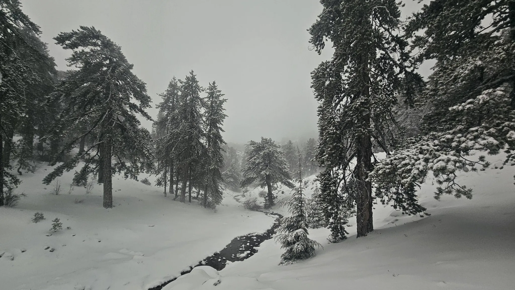 Cyprus hit by snow and storms, Troodos under chains-only alert ...