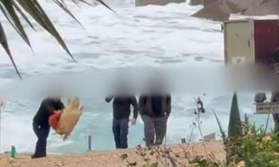 Abuse of a turtle in Paphos sparks outrage after beach incident ...