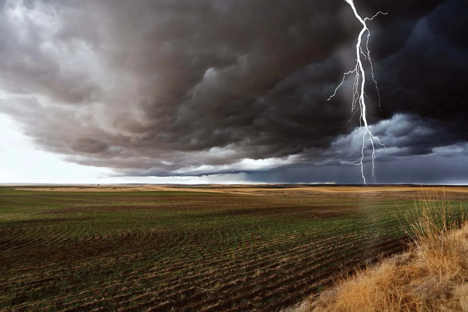 Yellow weather warning for storms and heavy rain - Sigmalive English